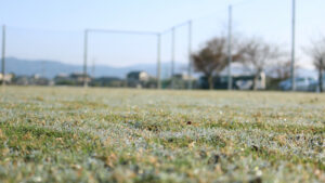 サッカーを楽しみ、子どもたちが成長していく、久留米市のFC LIBRE - MNI SELECTION